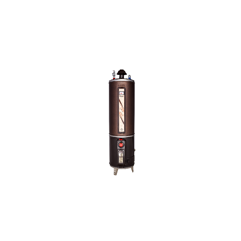 Rays 55 Gallons Electric & Gas Storage Geyser Twin 55G Deluxe
